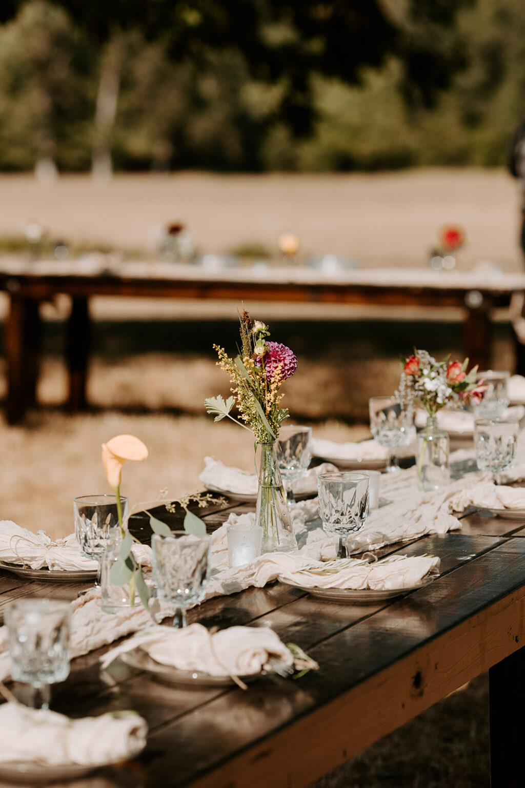 Embrace the Untamed Beauty of a Yellowstone Wedding - Showit Blog