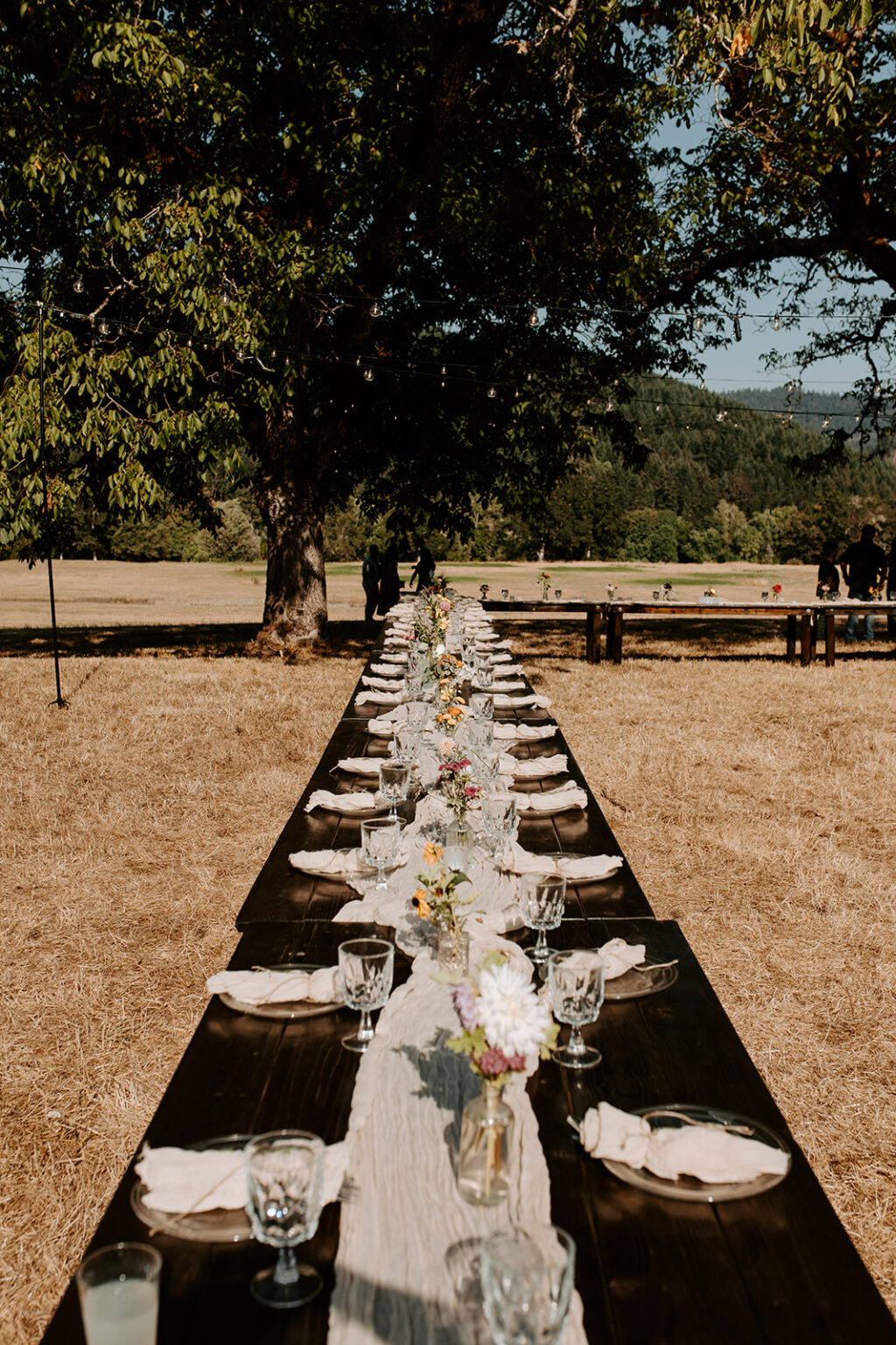 Embrace the Untamed Beauty of a Yellowstone Wedding - Showit Blog